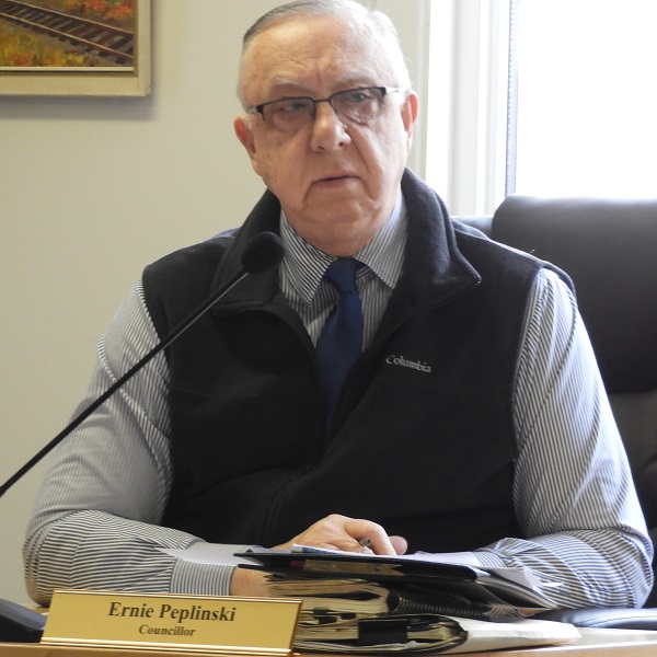 Councillors raise youth exodus and staff overtime concerns in budget ...